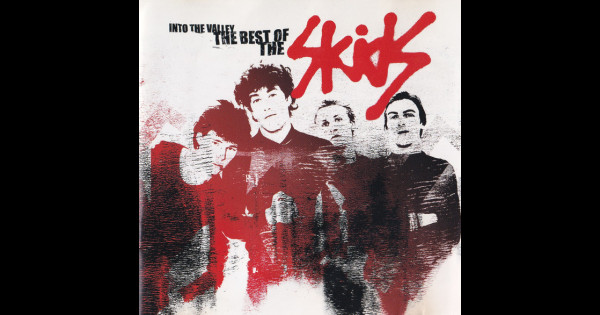 Into The Valley - The Best Of Skids CD